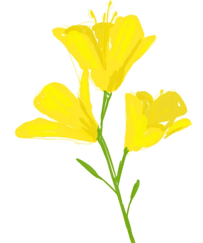 malmal: draw online with friends