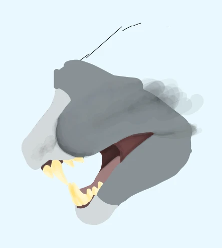 Teefs practice | Gallery | HelloPaint