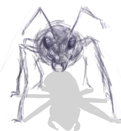 malmal: draw online with friends